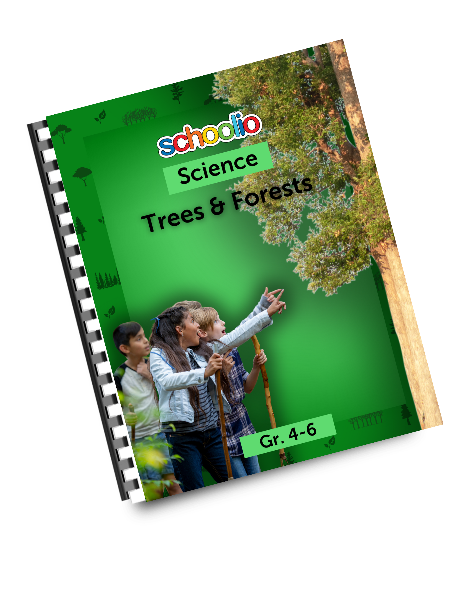 Schoolio Summer Series Week 4: Woodland Wonders - Homeschooling ...