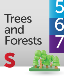 Trees and Forests - Schoolio™️