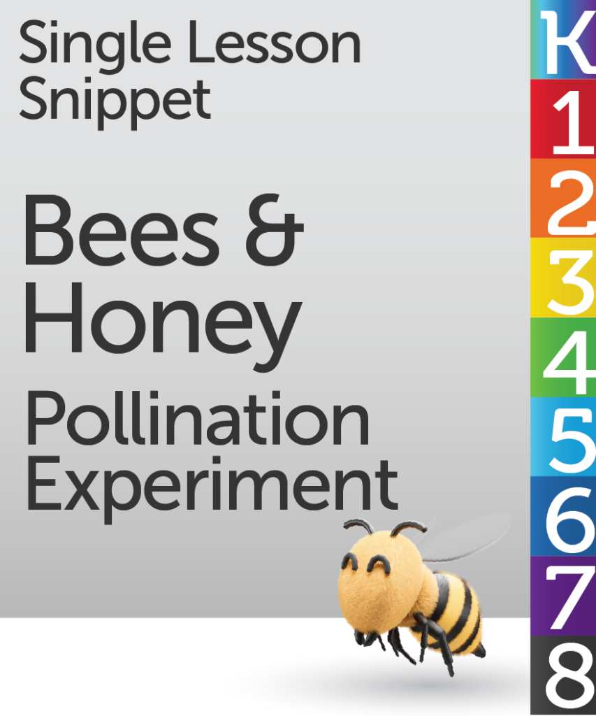 Pollination & Pollinators: A Schoolio Snippet from “Bees and Honey ...